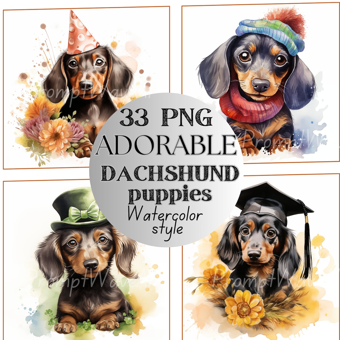 Dachshund Gift,puppies Clipart, Cute Dachshund Png, Modern Dog Clip Art ...