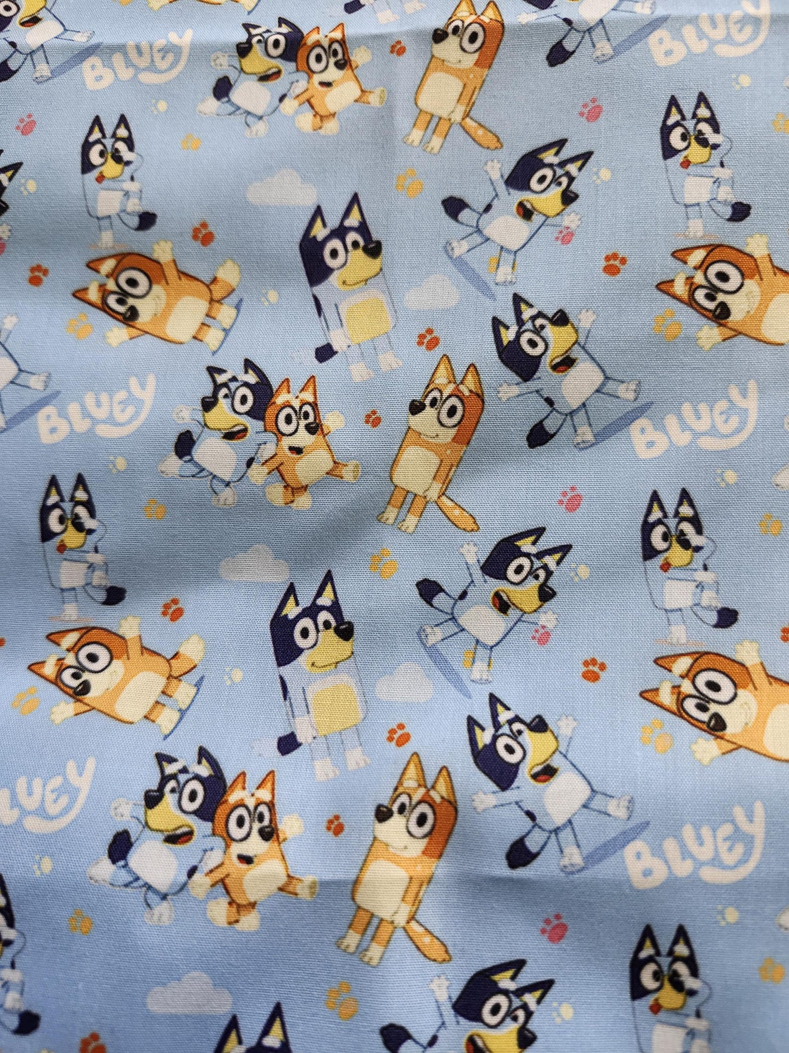 Bluey Comforter Style Blanket and Pillow Case Set - Etsy