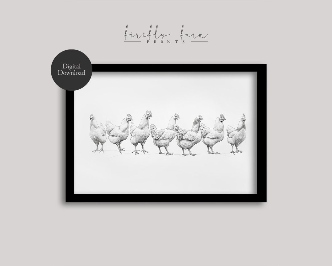 Hens All in a Row Pencil Sketch Digital Print, Chicken Wall Art ...