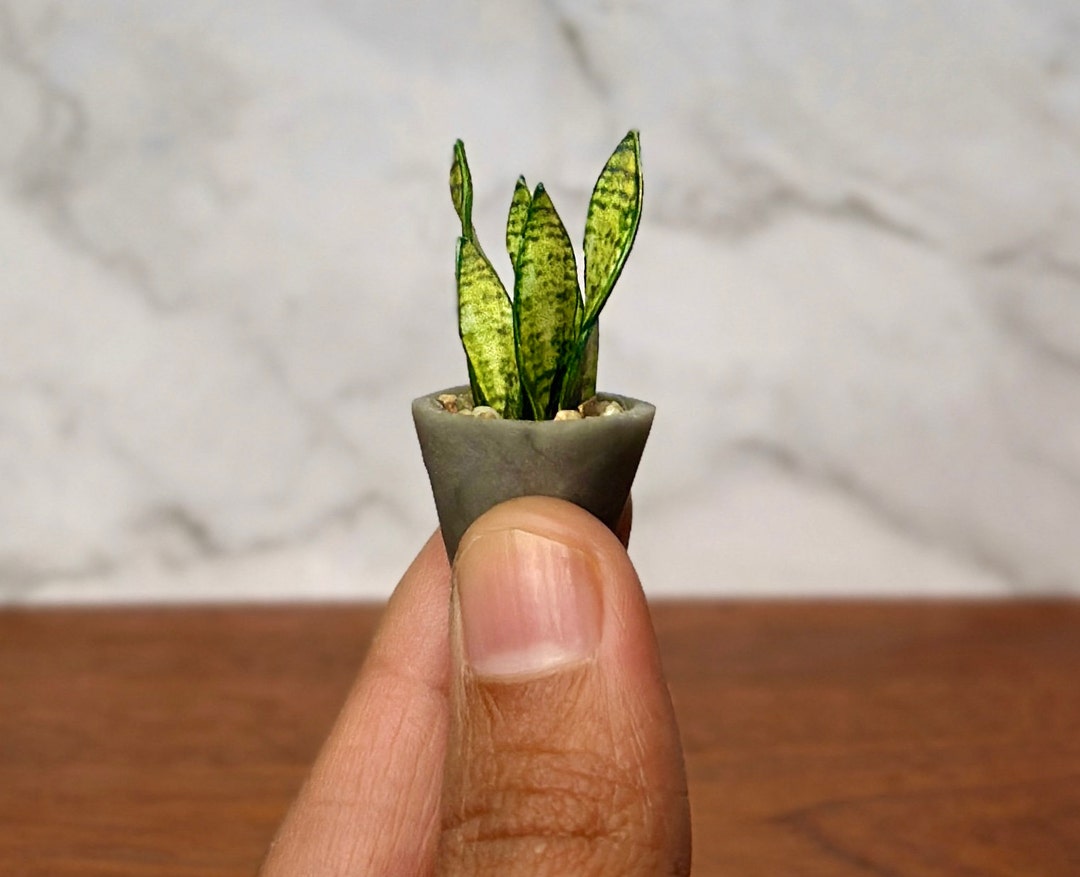 Miniature Snake Plant - Handmade, 1/12 Scale, Dollhouse Plant 1:12 ...