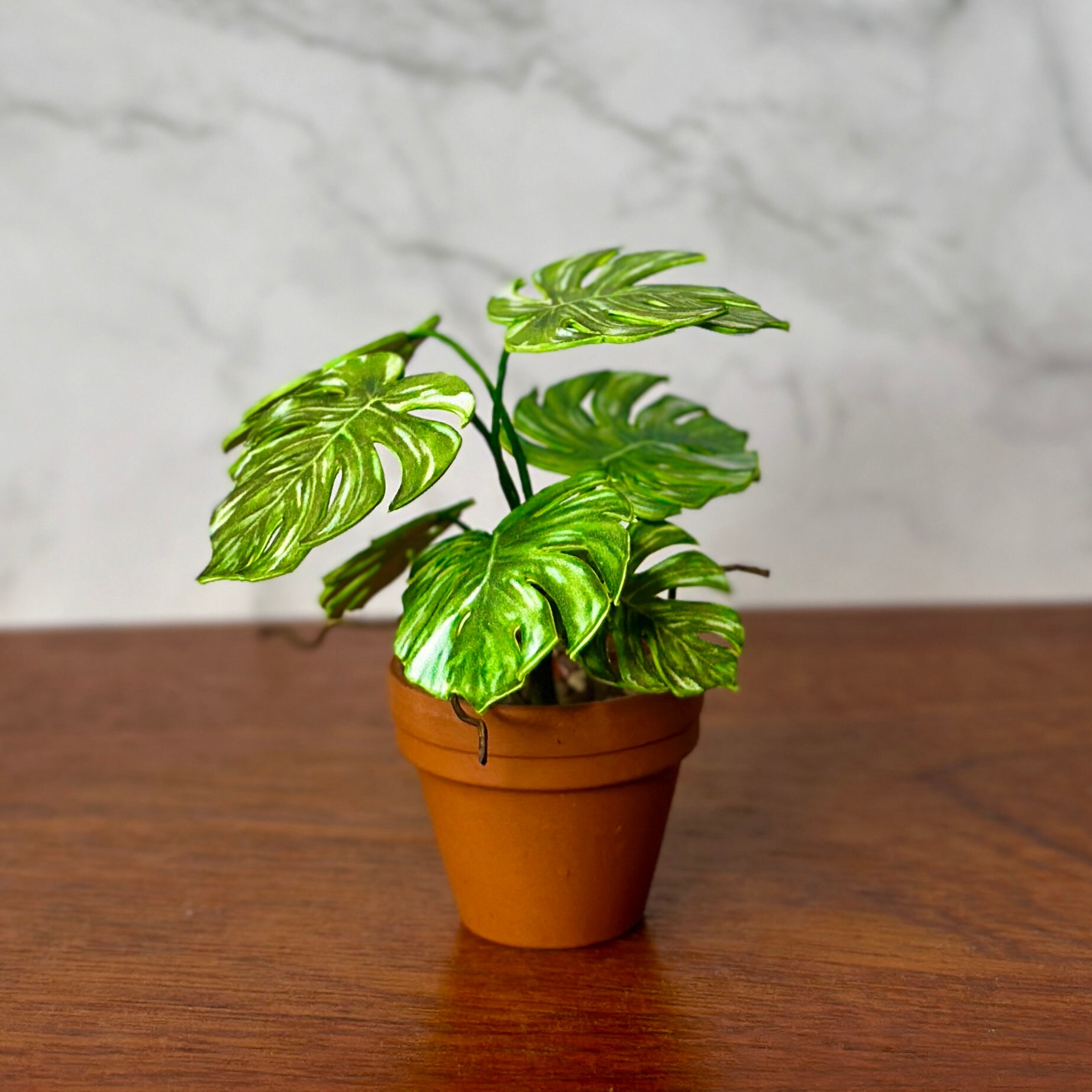 Miniature Variegated Monstera Plant Handmade , 1/12 Scale, Dollhouse ...