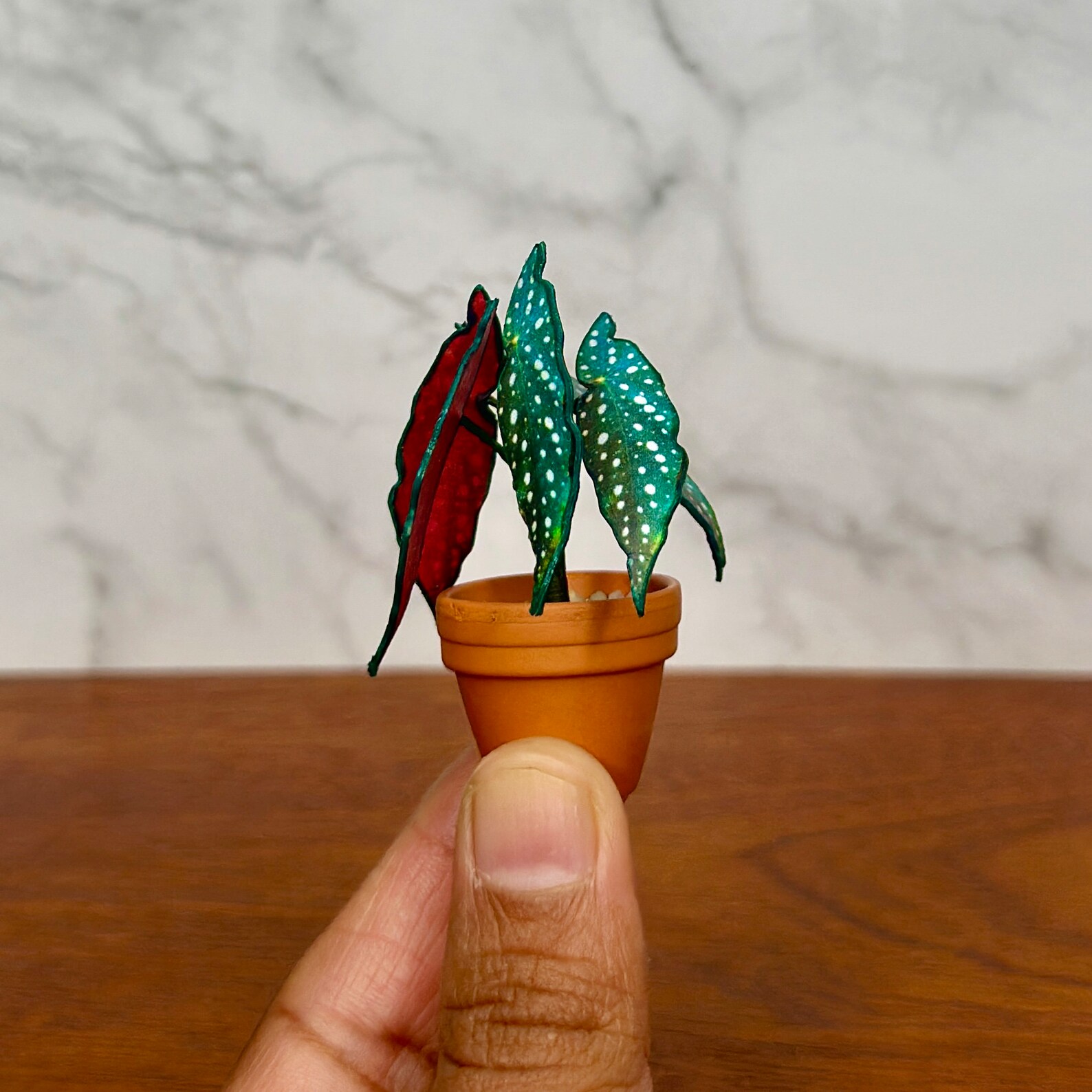 Miniature Polka Dot Begonia Plant - Handmade , 1/12 Scale, Dollhouse ...