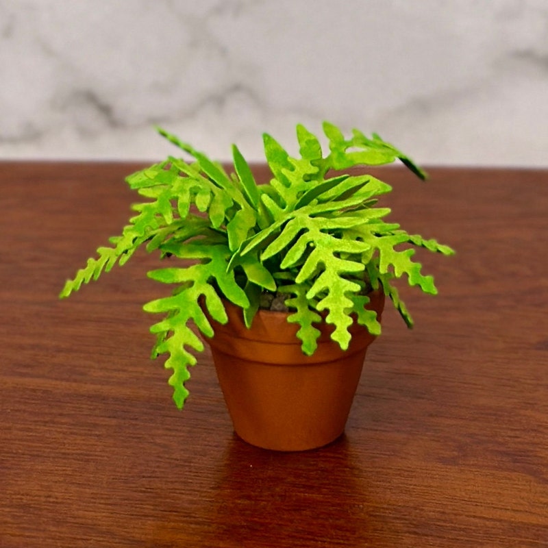 Miniature Fern - Etsy