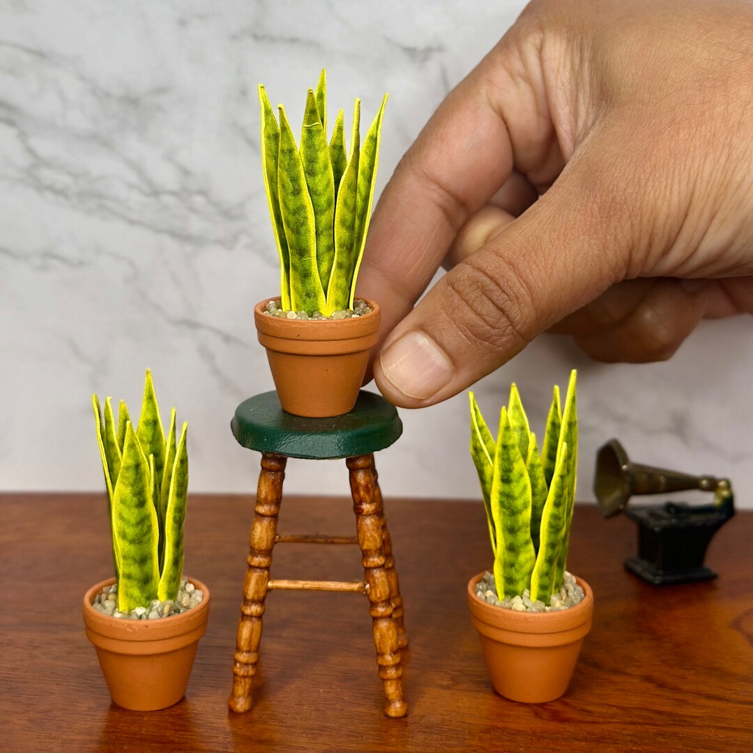 Handmade Miniature Snake Plant – 1/12 Scale Dollhouse Plant - Etsy