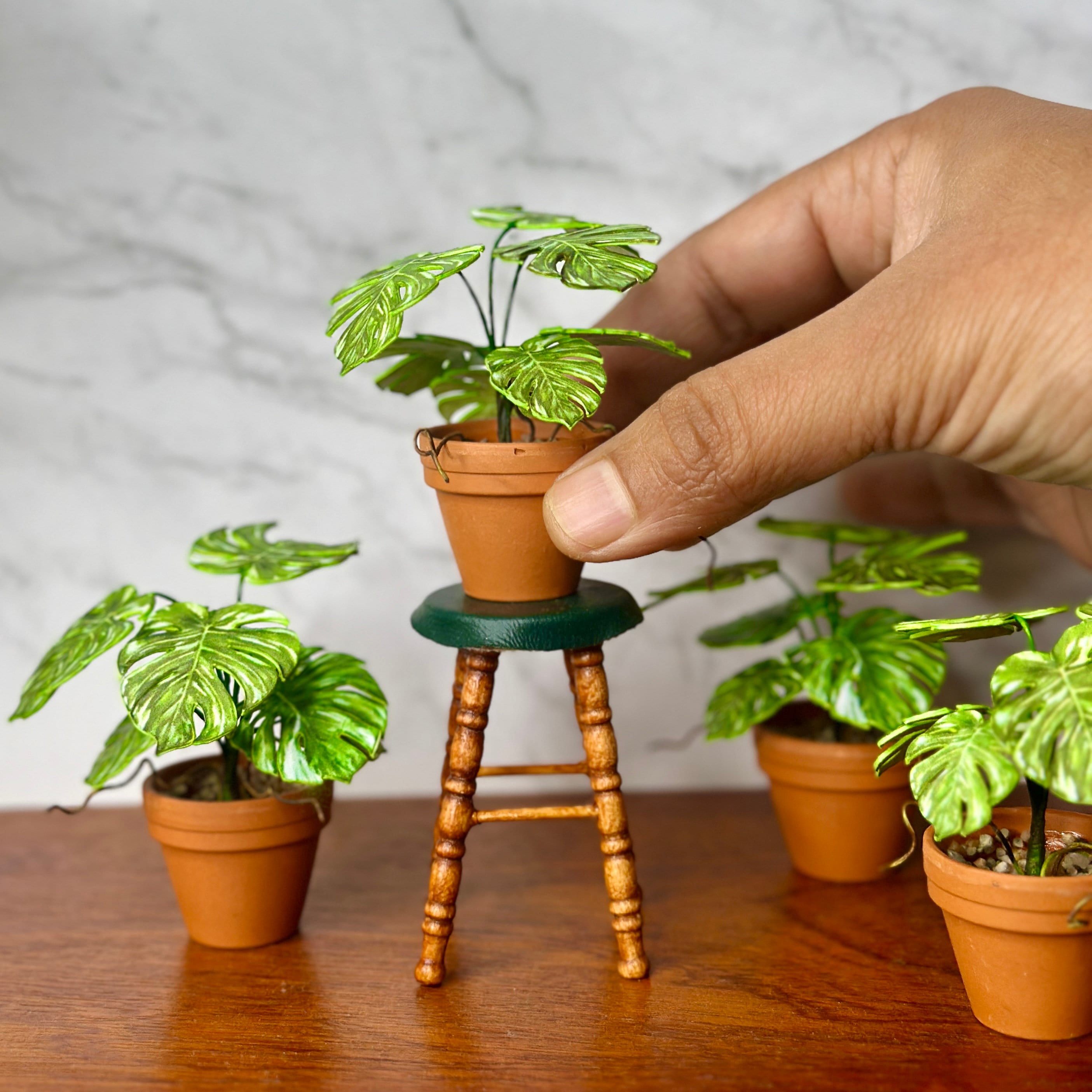 Miniature Variegated Monstera Plant Handmade , 1/12 Scale, Dollhouse ...