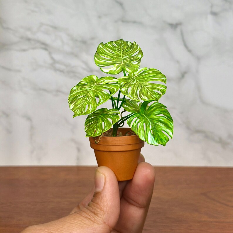 Miniature Variegated Monstera Plant Handmade , 1/12 Scale, Dollhouse ...