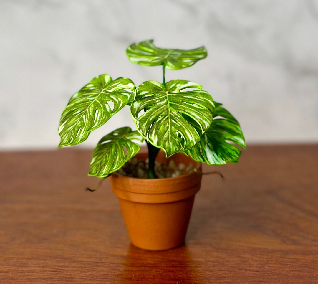 Miniature Variegated Monstera Plant Handmade , 1/12 Scale, Dollhouse ...