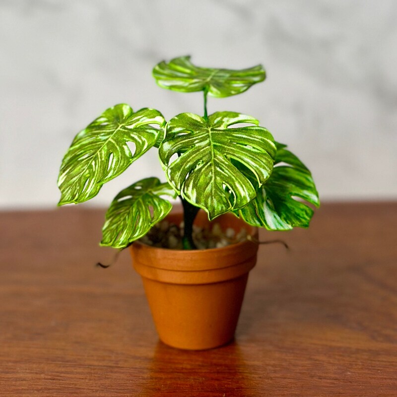 Miniature Plants - Etsy