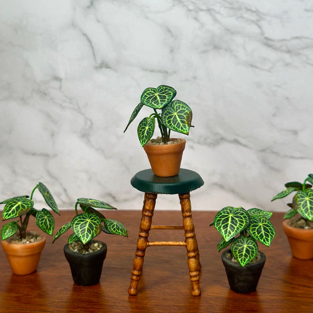Miniature Anthurium Crystallinum Plant - Handmade, 1/12 Scale ...