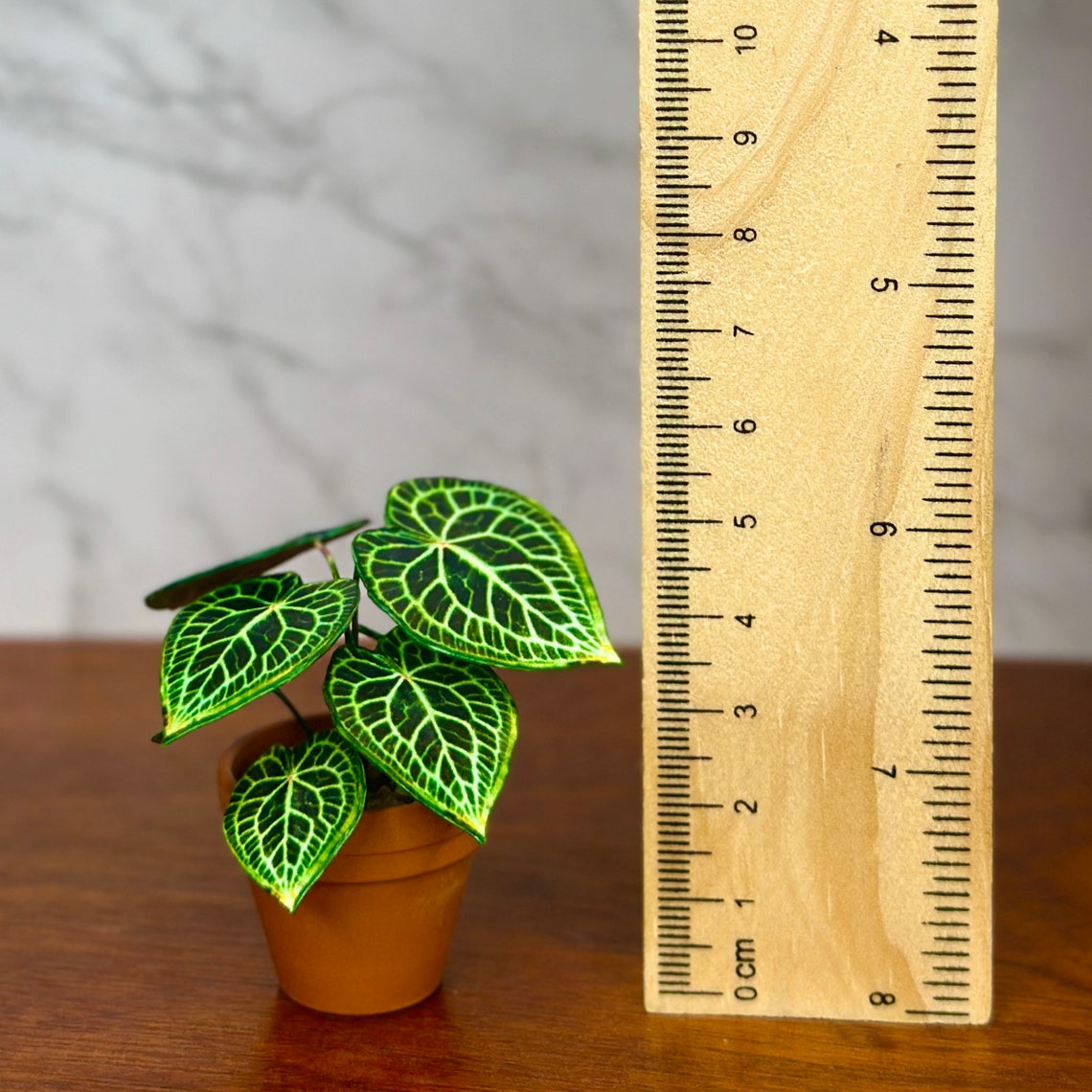Handmade Miniature Anthurium Crystallinum Plant – 1/12 Scale Dollhouse ...