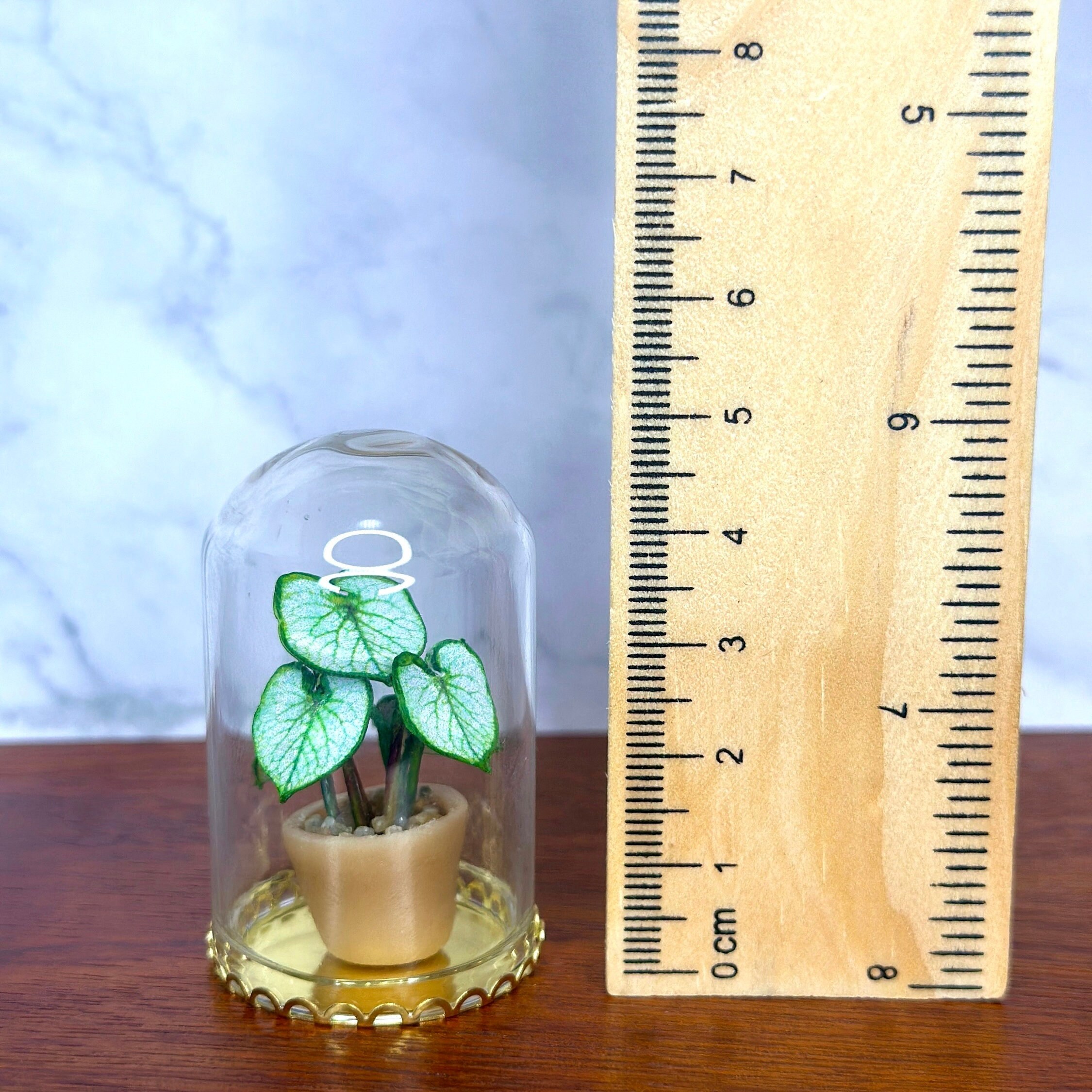 Handmade Miniature Brunnera Plant in Bell Jar, Dollhouse Decor 1:12 - Etsy
