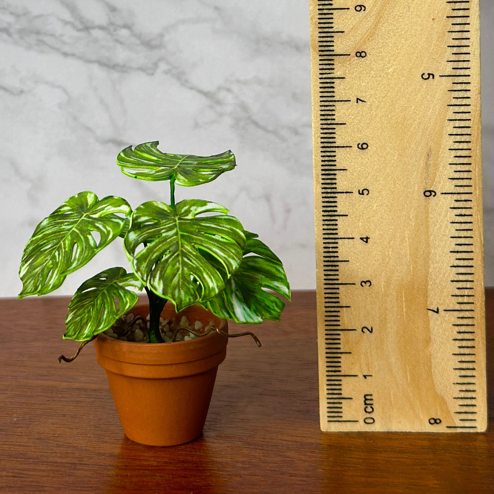 Miniature Variegated Monstera Plant Handmade , 1/12 Scale, Dollhouse ...