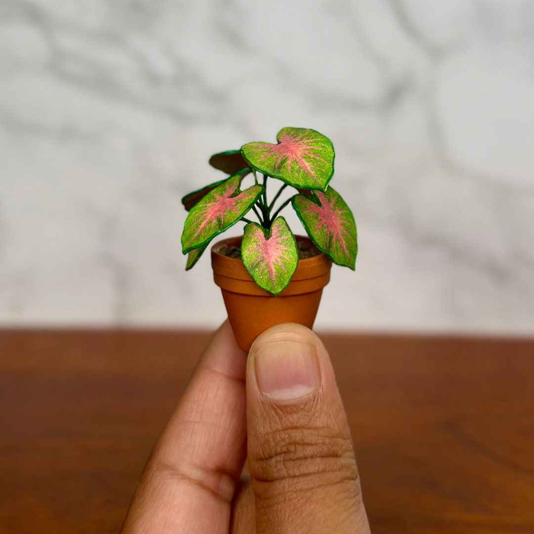 Miniature Caladium Plant - Handmade , 1/12 Scale, Dollhouse Plant 1:12 ...