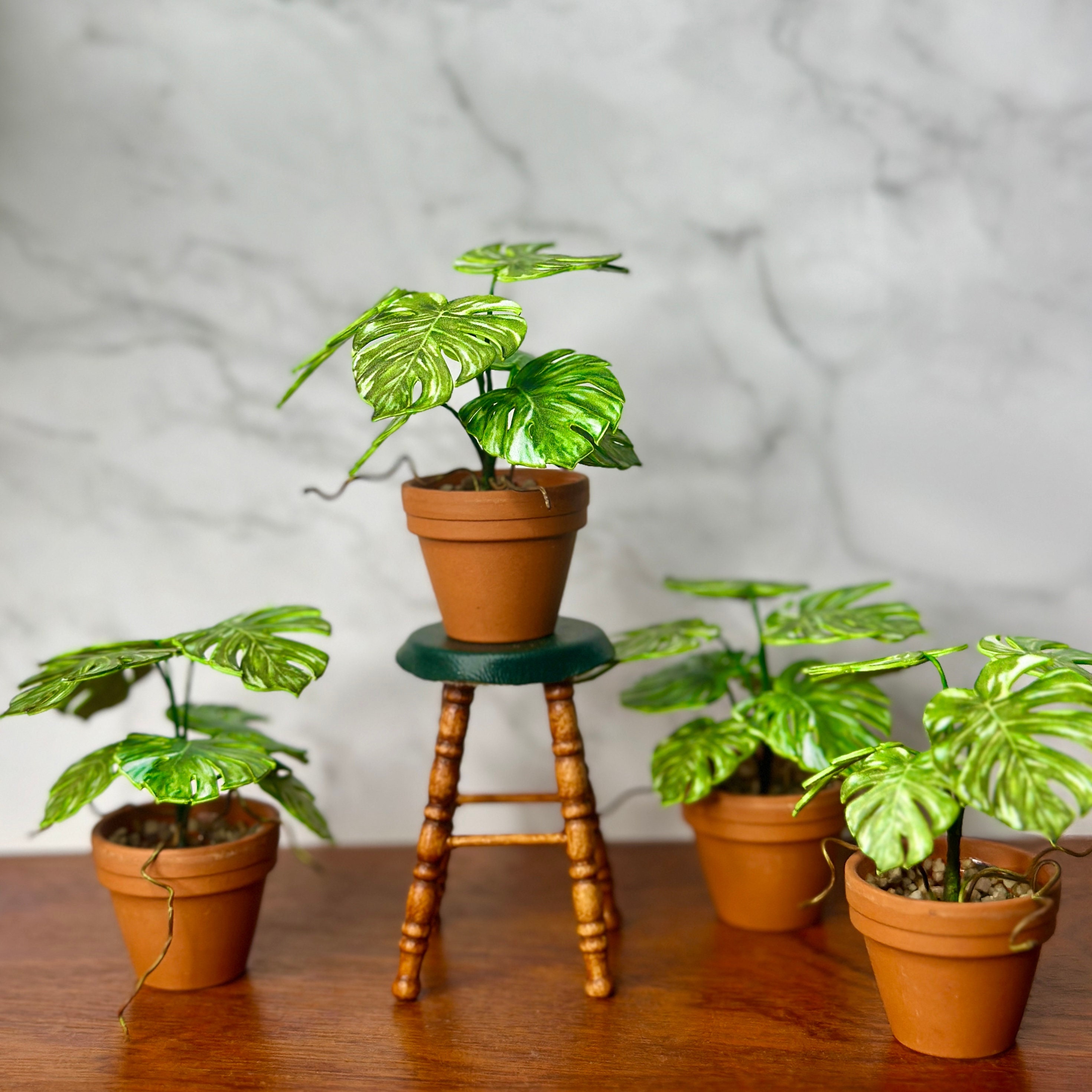 Miniature Variegated Monstera Plant Handmade , 1/12 Scale, Dollhouse ...