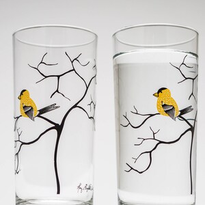 Finch Glassware Set of 2 Everyday Drinking Glasses, Mother's Day Gift ...