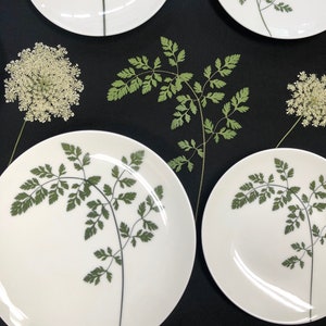 Queen Anne's Lace Porcelain Plates & Bowls - Dishwasher Safe Pressed ...