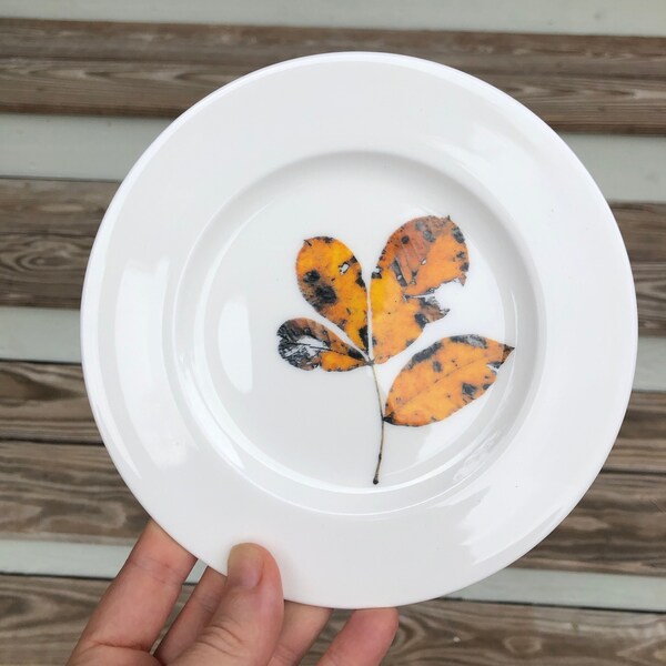 Fall Plates - Etsy