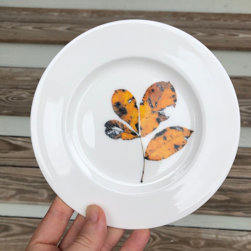 Fall Plates - Etsy