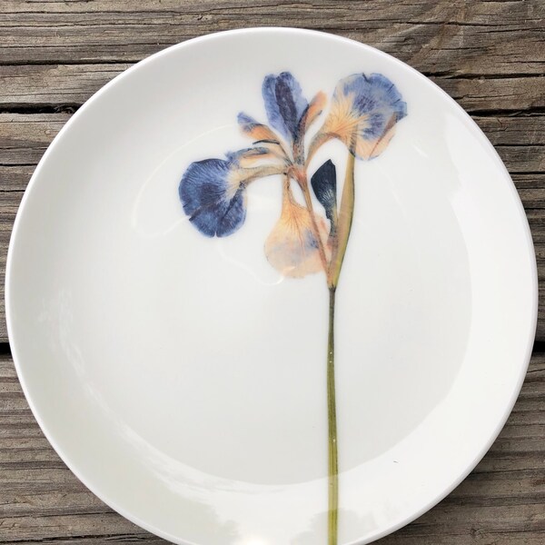 Iris Plates - Etsy
