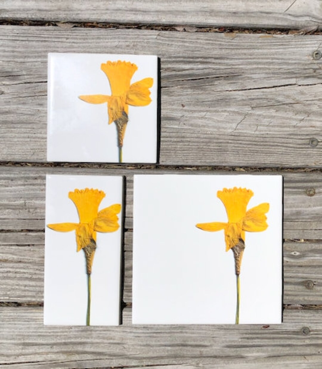 Daffodil Ceramic Tile : Indoor and Outdoor Use, Decorative Tiles - Etsy