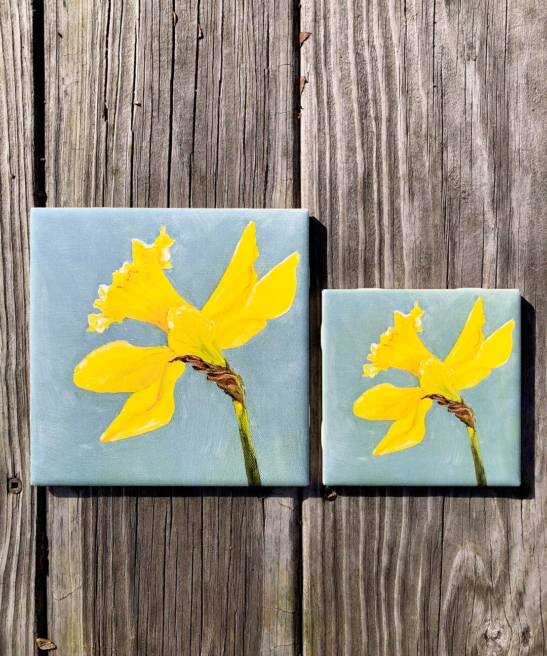 Spring Daffodil Ceramic Tile : Indoor and Outdoor Use, Decorative Tiles ...
