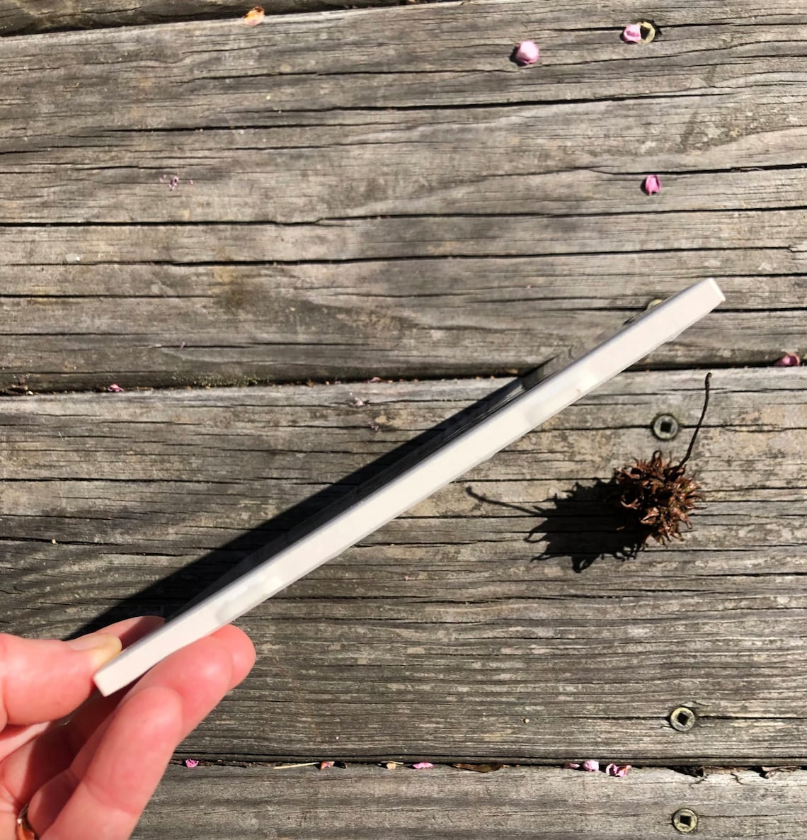 Set of 6 Garden Botanical Ceramic Tiles : Indoor and Outdoor - Etsy