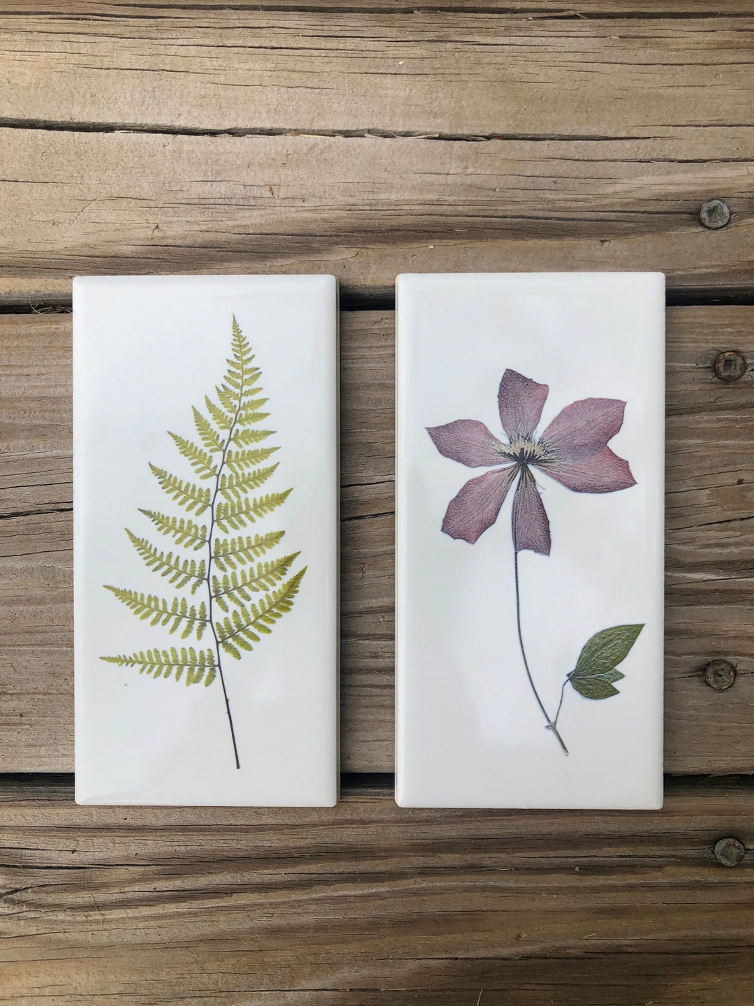 Pressed Fern & Clematis Ceramic Tiles: Botanical Decor Set - Etsy