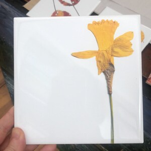 Daffodil Ceramic Tile : Indoor and Outdoor Use, Decorative Tiles - Etsy