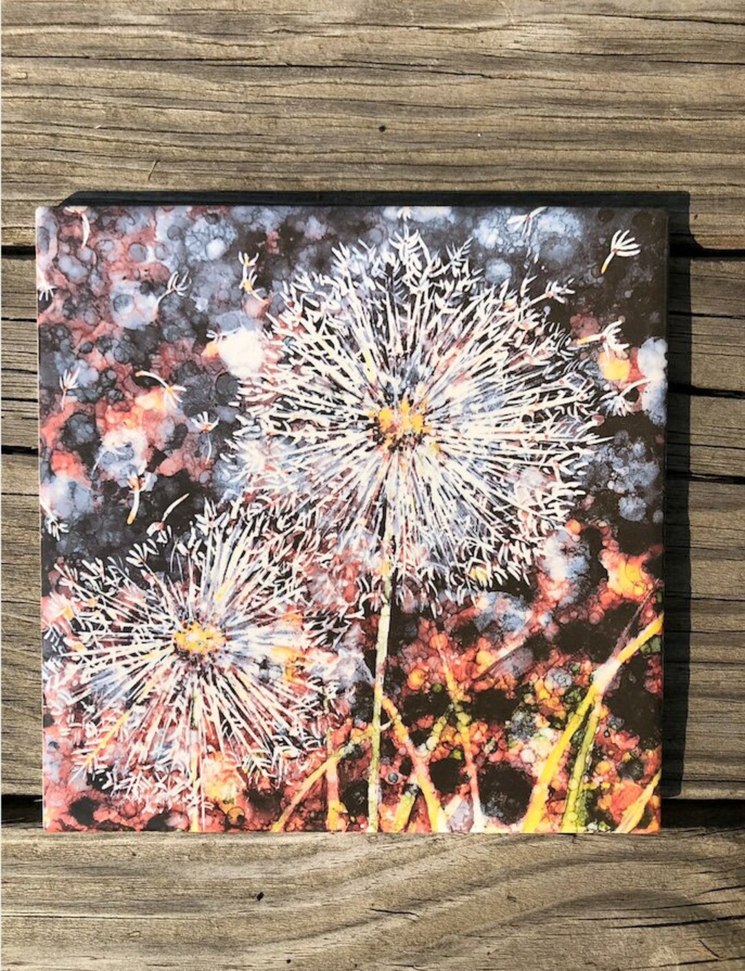Double Dandelion Ceramic Tile : Indoor and Outdoor Use, Decorative ...