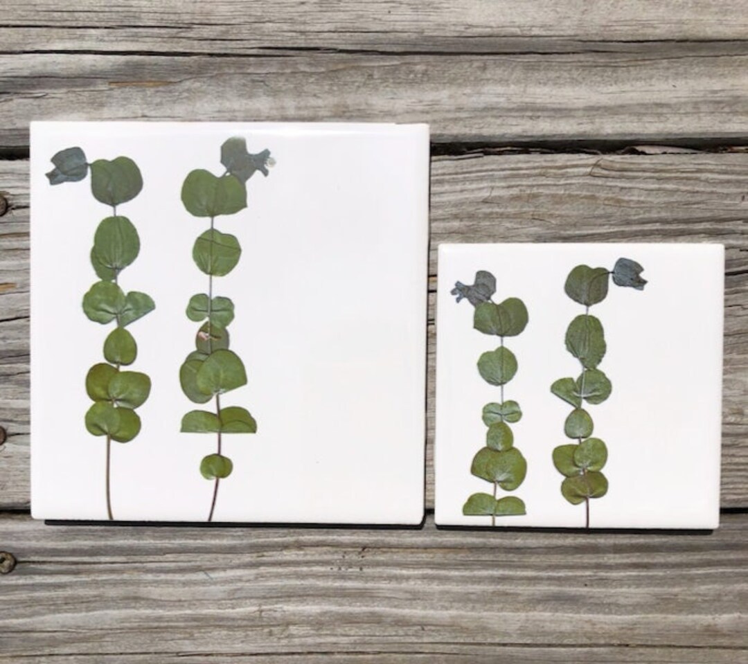 Eucalyptus Ceramic Tiles : Indoor and Outdoor Use, Decorative Tiles - Etsy