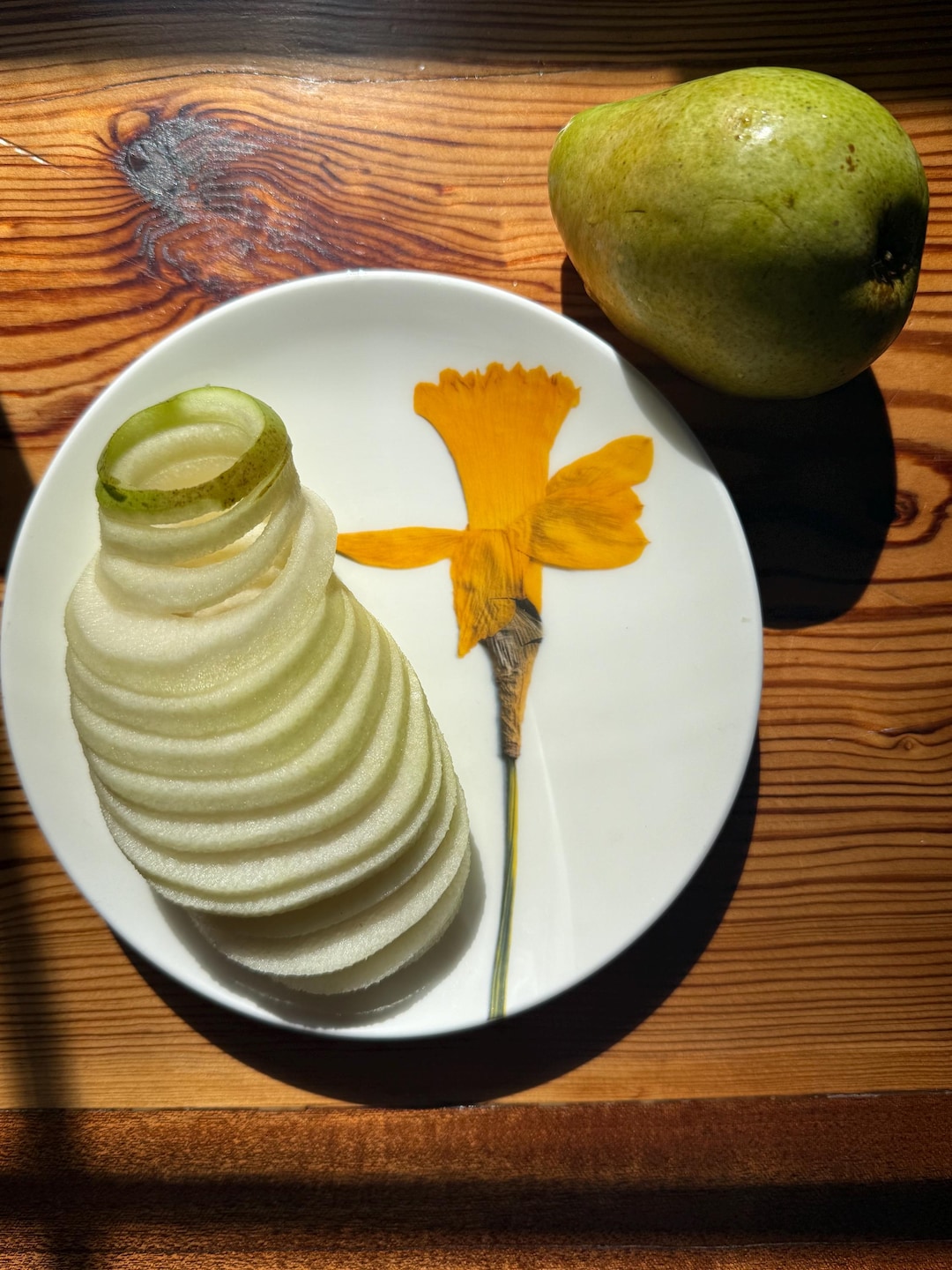 Pressed Daffodil Plates, Floral Decor, Pressed Flower Plates, Hostess ...