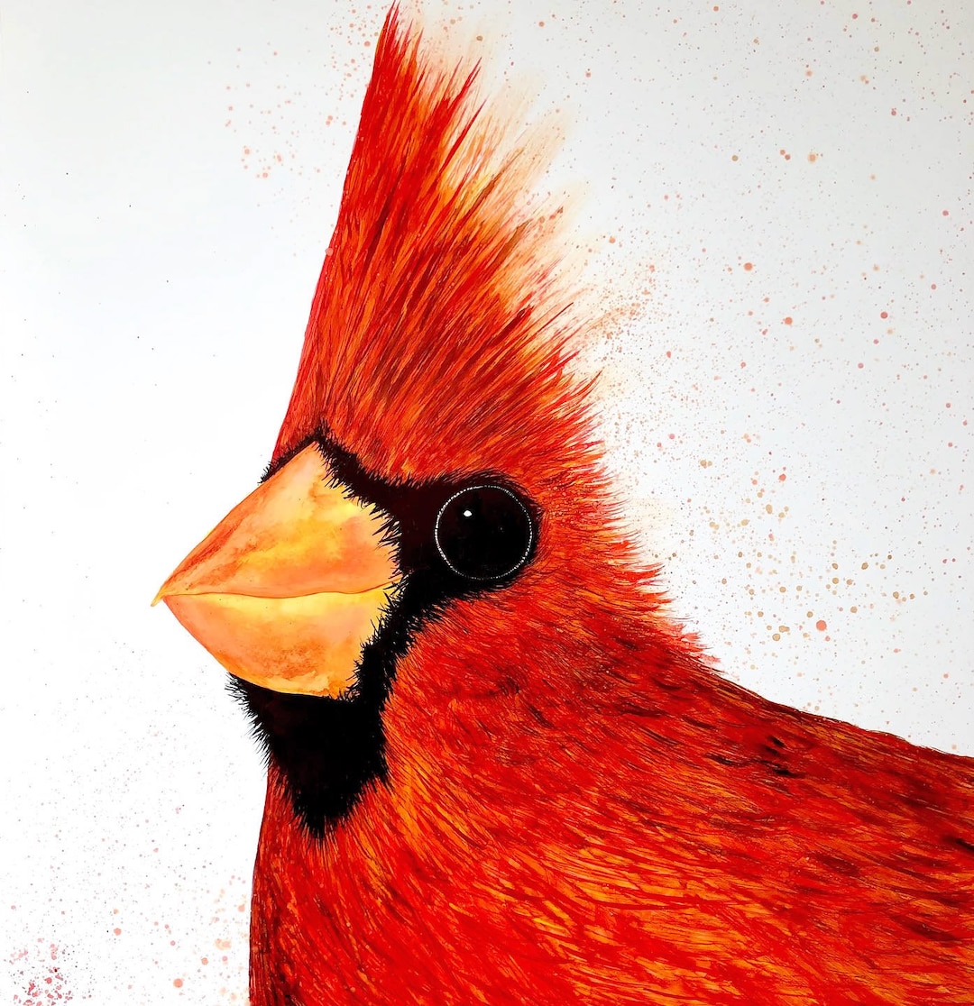 Big Red Cardinal: Fine Art Print - Etsy