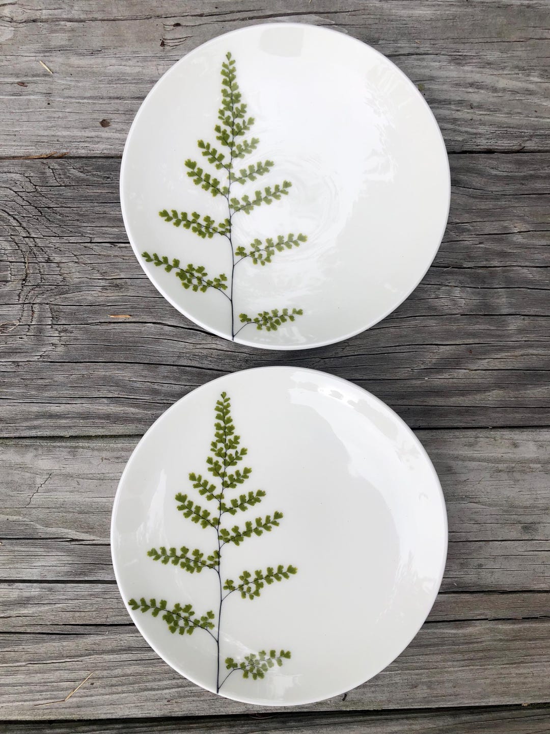 Maidenhair Fern Porcelain Plates and Bowls - Pressed Botanical Dishes ...