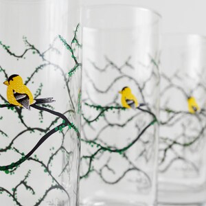 Finch Glasses Set of 4 Everyday Glasses, Yellow Birds, Yellow Finches ...