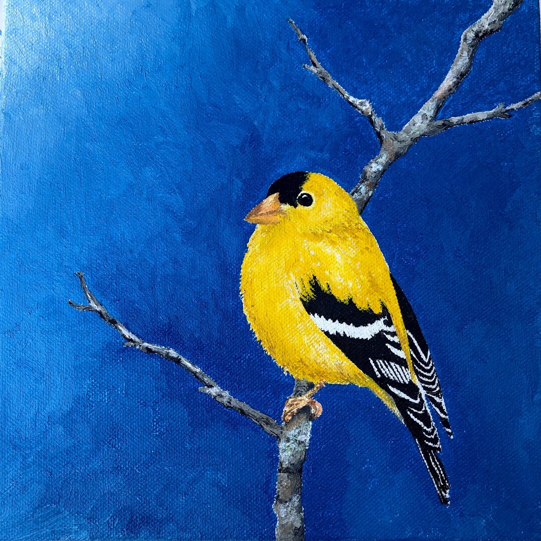 Sunny and Blue - Goldfinch Painting, Square Blank Greeting Card - Etsy
