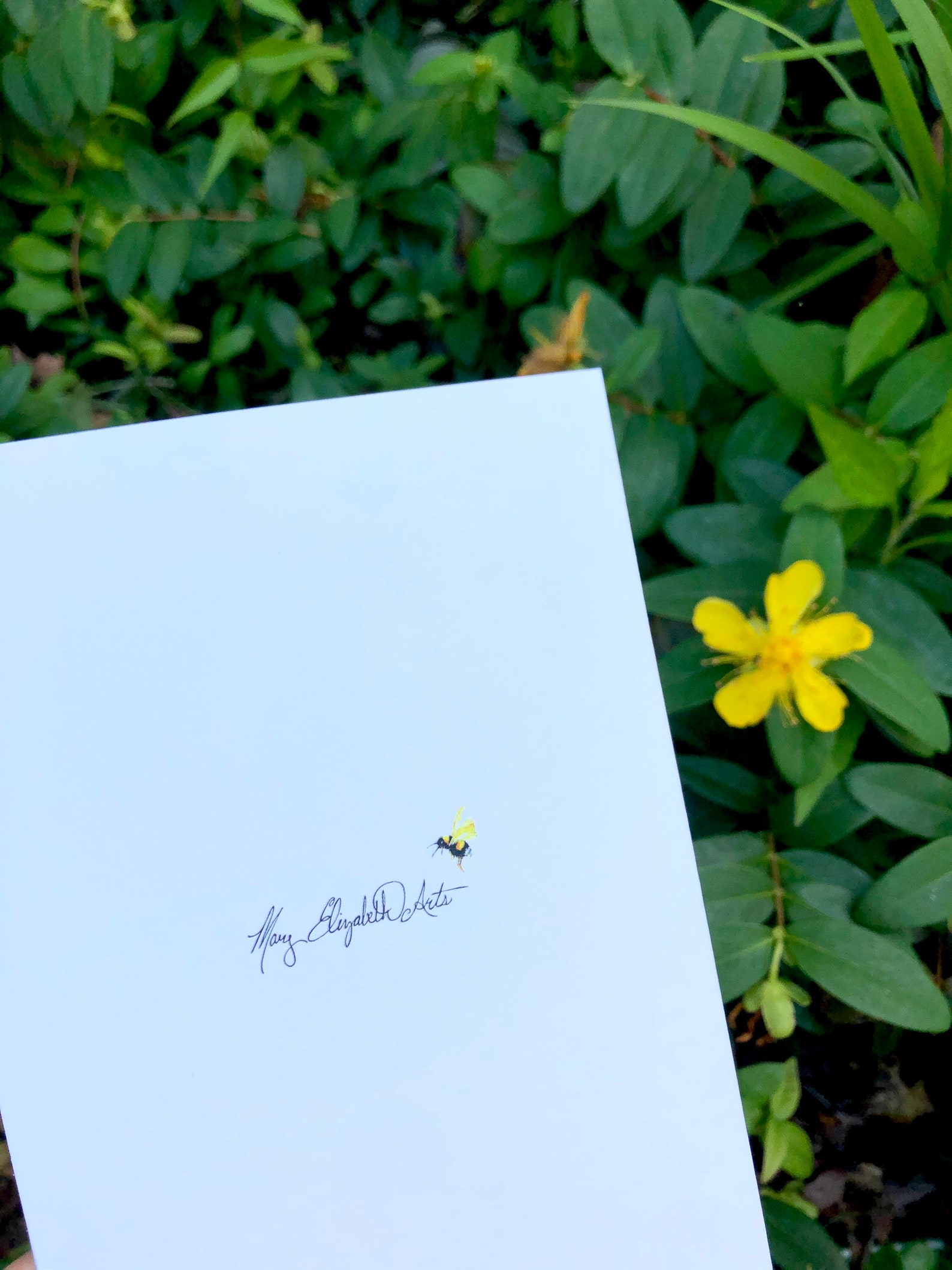 Ethereal Night : Fine Art Greeting Card Northern Lights | Etsy