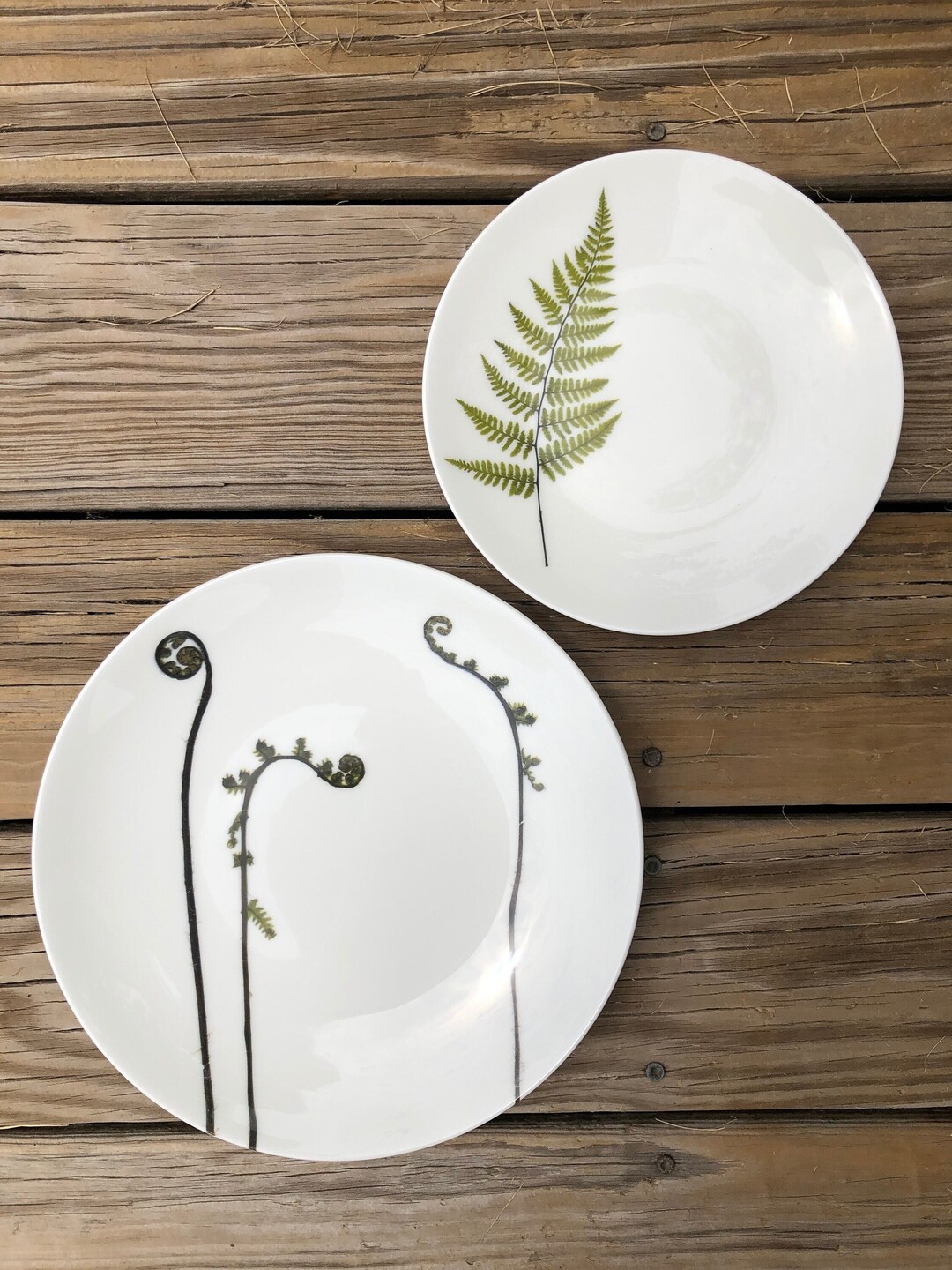 Fiddlehead and Fern Porcelain Plates - Mixed Size Place Setting for 8 ...