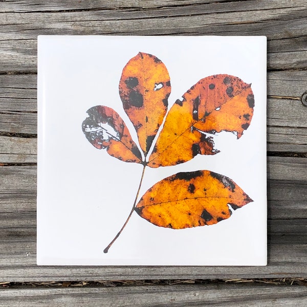 Outdoor Fall Decor - Etsy
