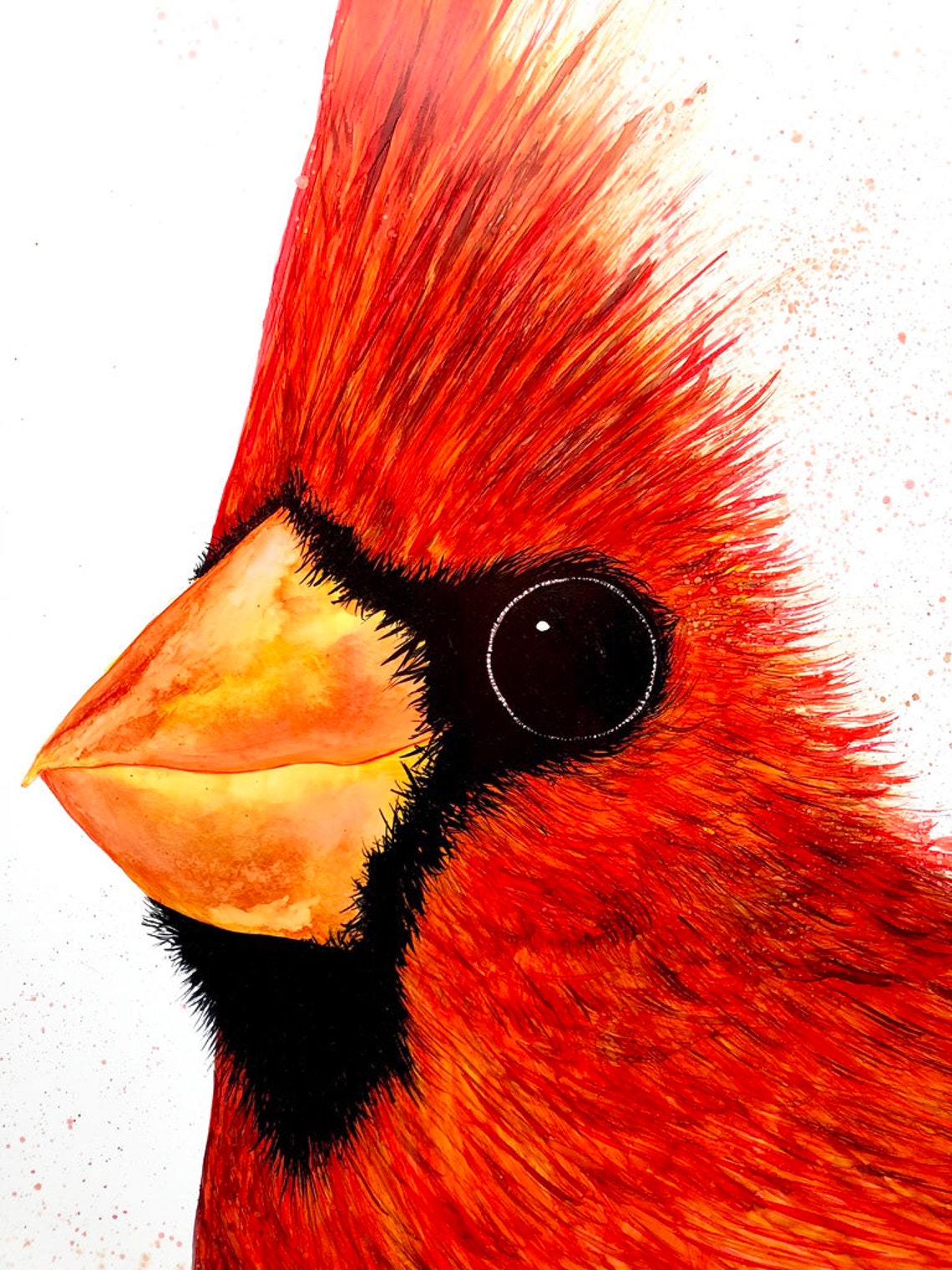 Big Red Cardinal: Fine Art Print - Etsy