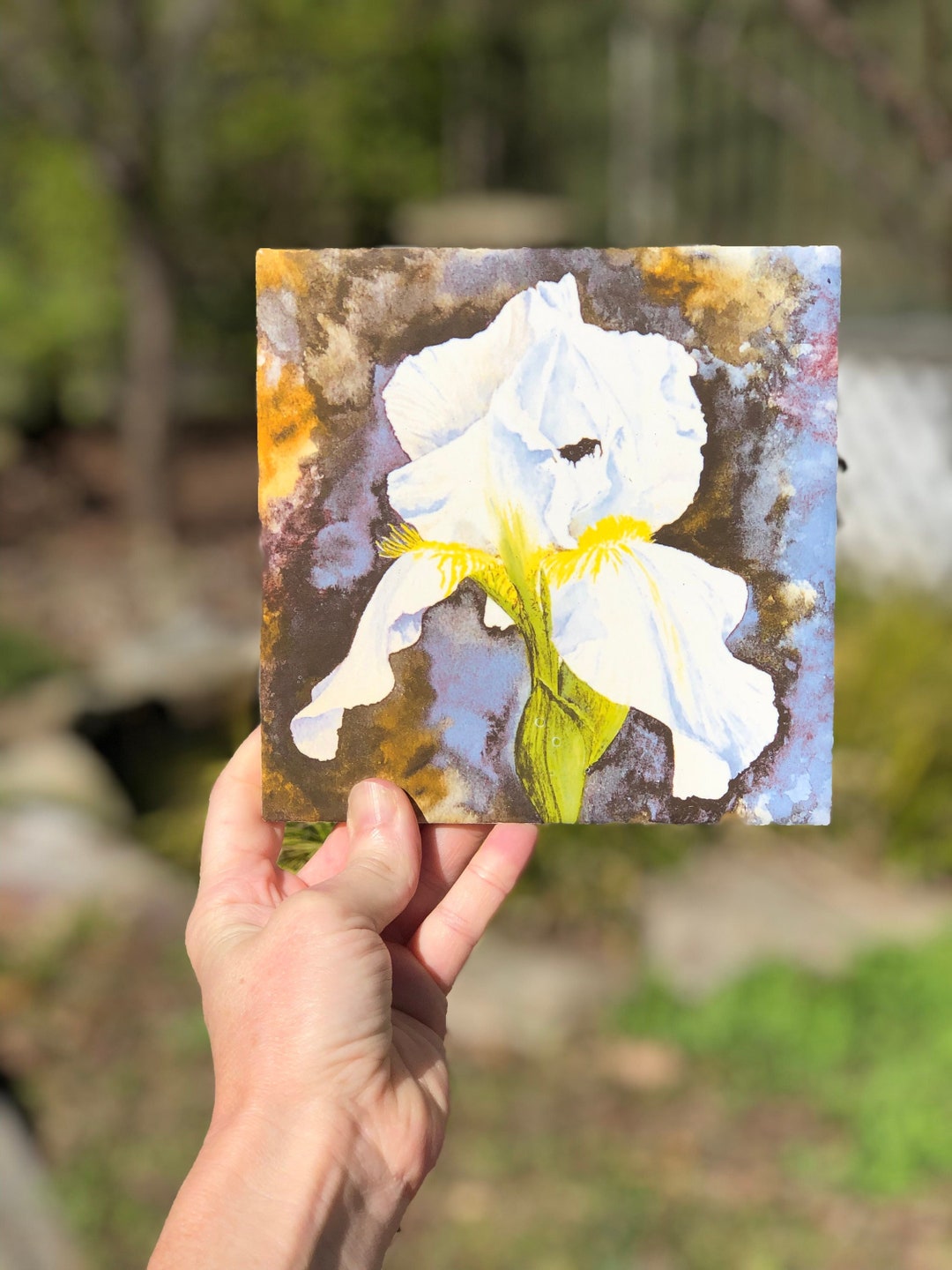 White Iris Bloom Ceramic Tile : Indoor and Outdoor Use, Decorative ...