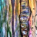 Blue Forest: Fine Art Print, Tree Painting - Etsy