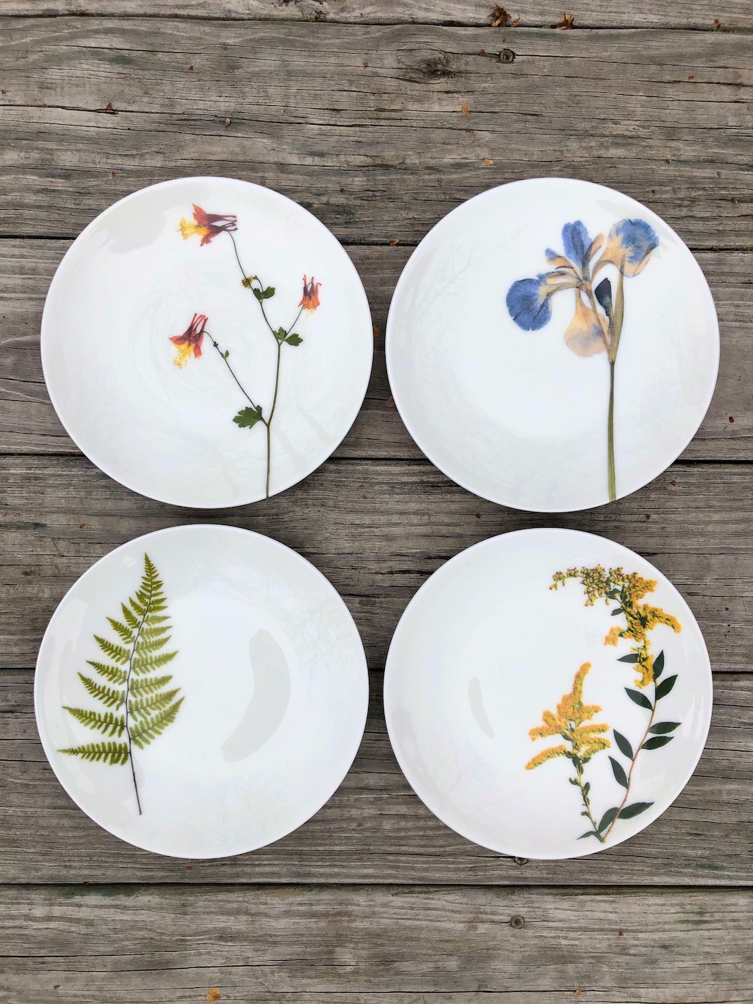 Set of 4 Botanical Porcelain Plates, Fern and Floral 8 Inch Dishes ...