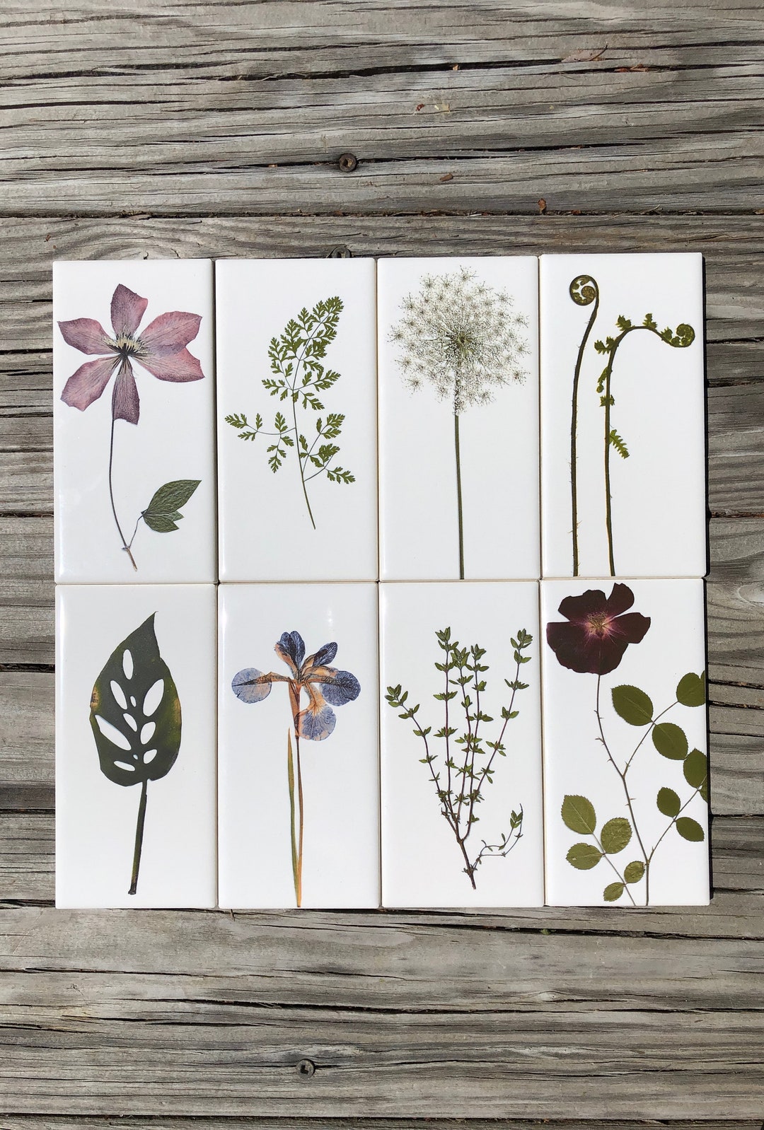 Set of 8 Garden Botanical Ceramic Tiles : Indoor and Outdoor Functional ...