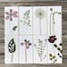 Set of 8 Garden Botanical Ceramic Tiles : Indoor and Outdoor Functional ...