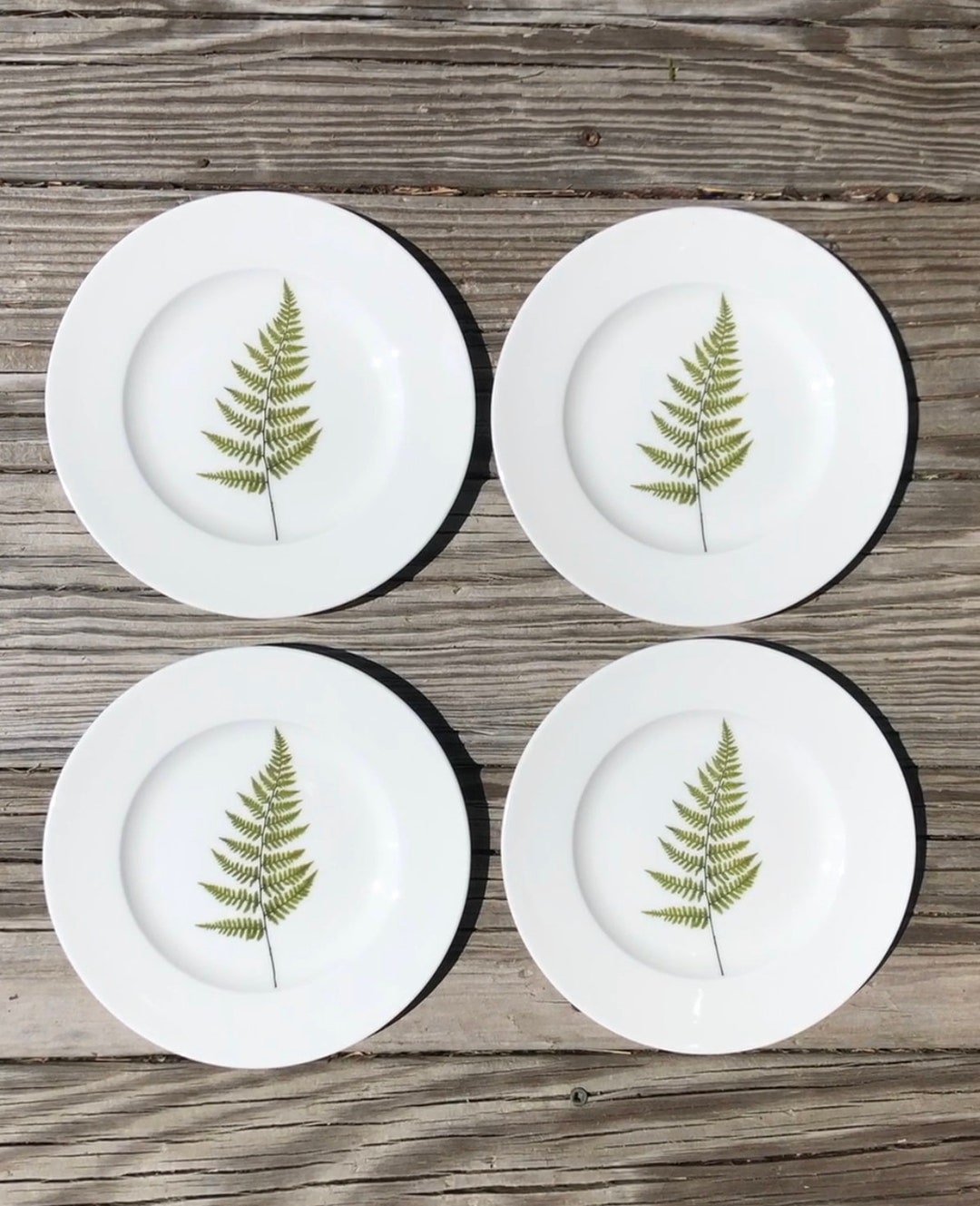 Set of 4 Summer Fern Porcelain Plates - Limited Edition Collection ...