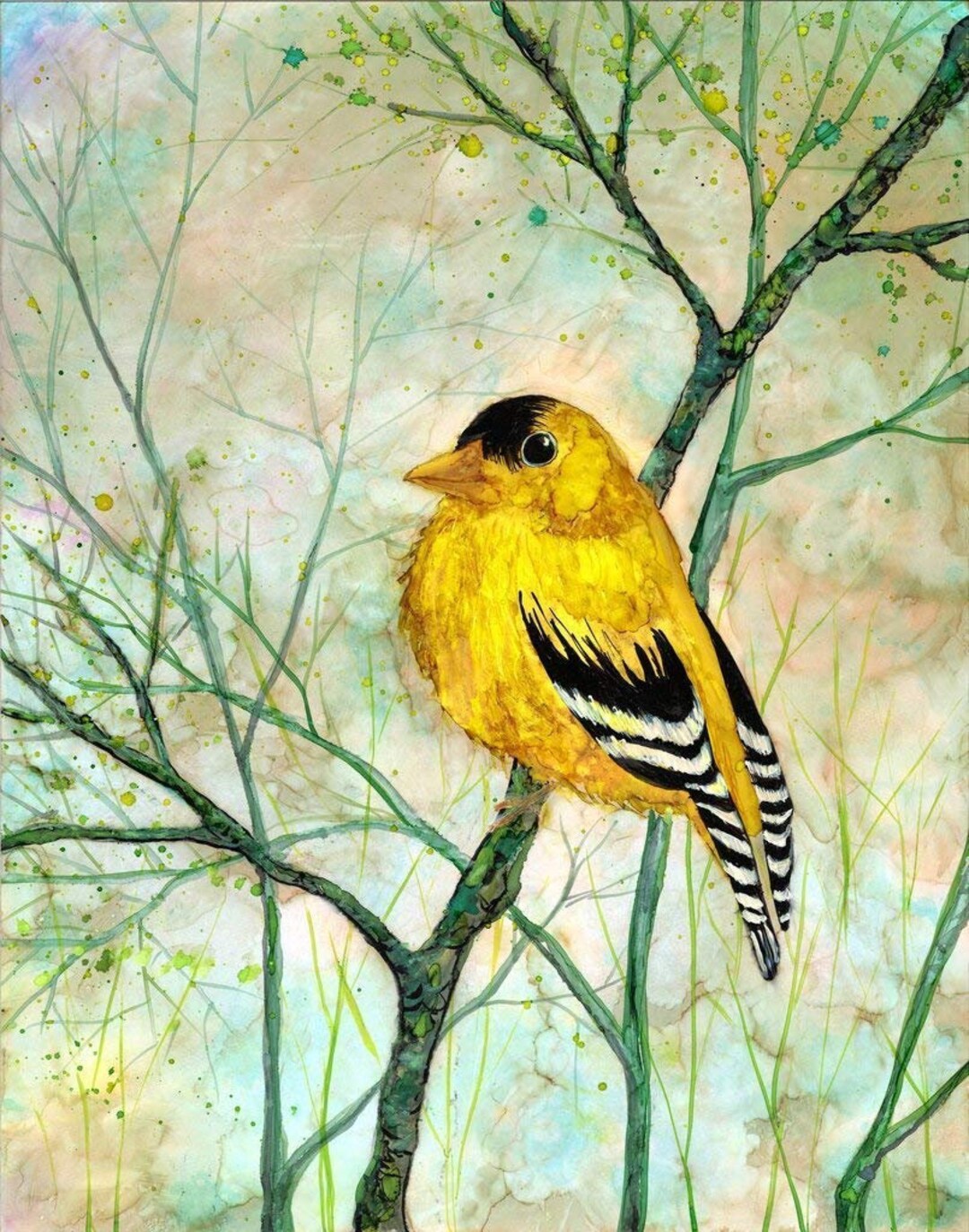 Golden Finch: Fine Art Print - Etsy