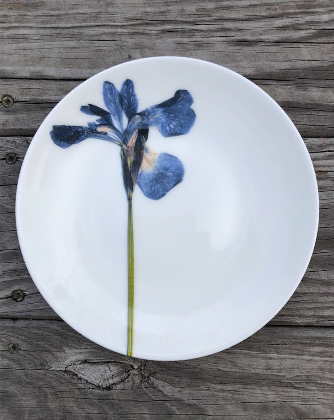 Pressed Blue Iris Plates Set of 2 Porcelain 8 Inch Plates - Etsy