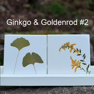 You Pick the Designs - 6 X 6 Inch Ceramic Tile: Garden Botanical Floral ...