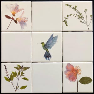 Hummingbird in Flight Ceramic Tiles : Indoor and Outdoor Use ...