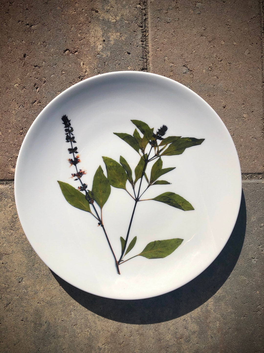 Flowering Thai Basil Porcelain Plates - Pressed Botanical Dishes - Etsy